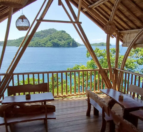 Scuba Diving Halmahera with Proco Island Bambu Resort - Diving in ...